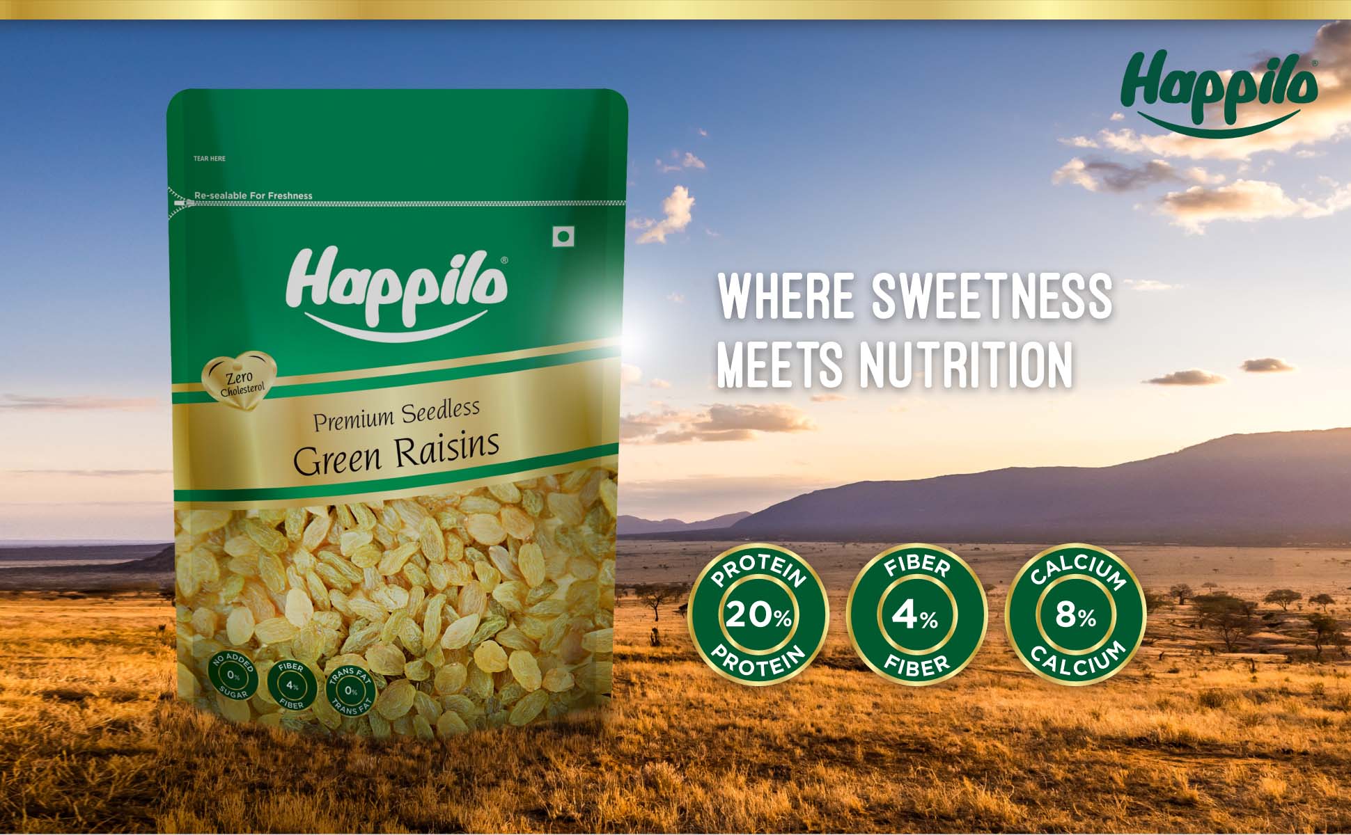 Buy Happilo Premium Seedless Green Raisins Online at Best Price of Rs ...
