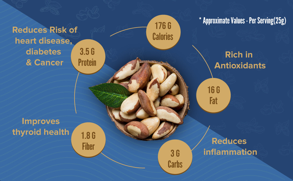 Buy Tasties Brazil Nut - Gems Of South America Online at Best Price of ...