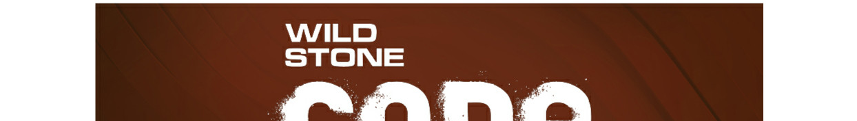 Buy Wild Stone Deodorant Body Spary Copper 120 Ml Online At Best Price ...