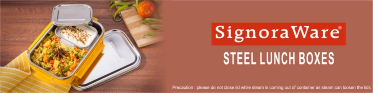 Buy Signoraware Storage Lunch Container - Stainless Steel, Buddy, Blue ...