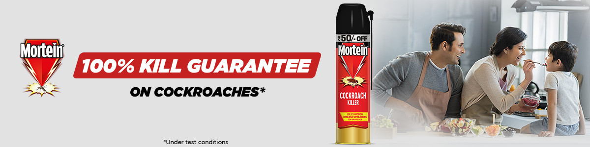 Buy Mortein Cockroach Killer Spray With Target Nozzle Online at Best ...