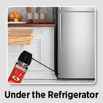 Buy Mortein Cockroach Killer Spray With Target Nozzle Online at Best ...