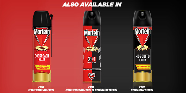 Buy Mortein Cockroach Killer Spray With Target Nozzle Online at Best ...