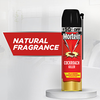 Buy Mortein Cockroach Killer Spray With Target Nozzle Online at Best ...