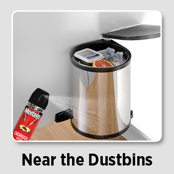 Buy Mortein Cockroach Killer Spray With Target Nozzle Online at Best ...