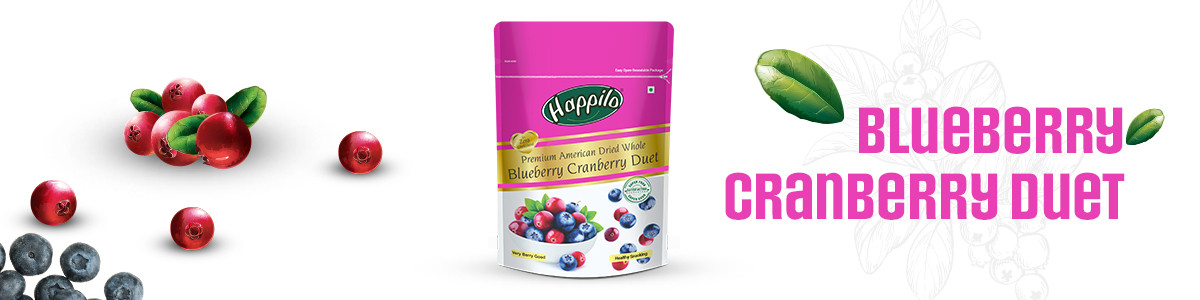 Buy Happilo Premium American Dried Blueberry & Cranberry Mix Online at ...