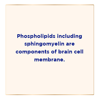 Buy S-26 Gold Infant Formula Powder - Stage 1, Up to 6 Months, DHA, ARA ...