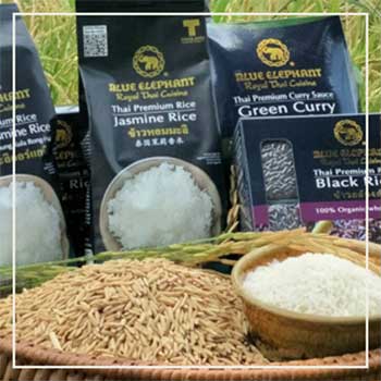Buy Blue Elephant Royal Thai Cuisine Jasmine Rice - Rich In Flavour ...