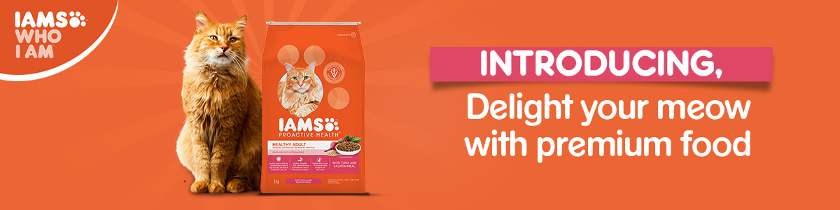 Buy IAMS Proactive Health - Healthy Adult, Dry Premium Cat Food With ...