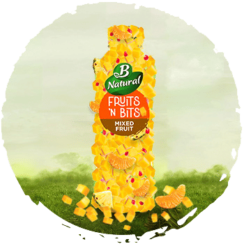 Buy B Natural Fruits N Bits Mixed Fruit Juice - Infused With Real Fruit ...
