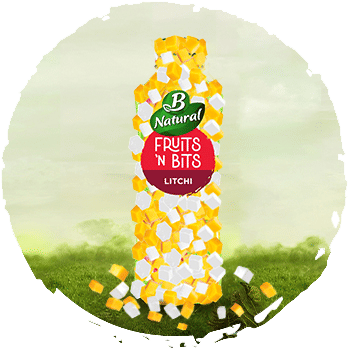 Buy B Natural Fruits N Bits Litchi Juice - Infused With Real Fruit Bits ...