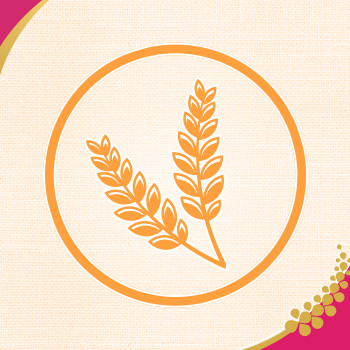 Buy Sunfeast Farmlite Super Millets Ragi & Jowar Cookies Online at Best ...