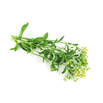 Buy Santoor Talcum Powder 400 Gm Online at the Best Price of Rs 370 ...