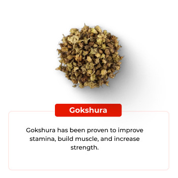 Buy Mojocare Spartan Tablets - Gokshura, Fenugreek, DHEA, Vitamin B & D ...