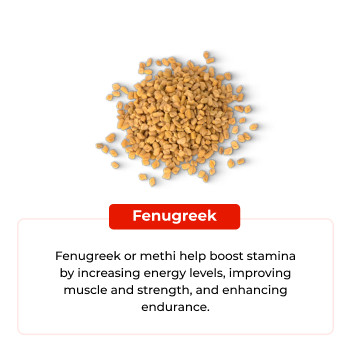 Buy Mojocare Spartan Tablets - Gokshura, Fenugreek, DHEA, Vitamin B & D ...