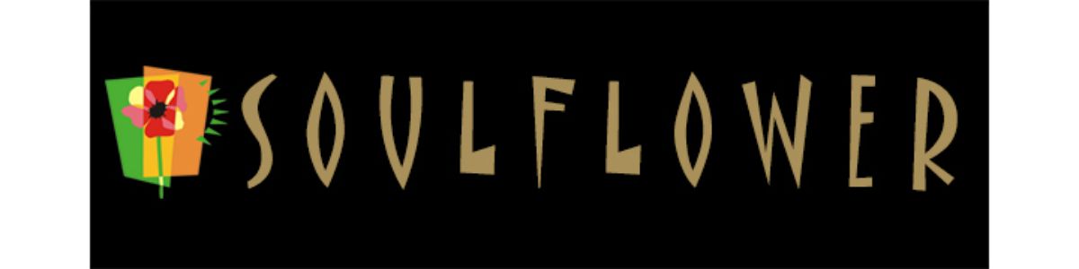 Buy Soulflower Carrier Oil Sesame 225 Ml Online At Best Price of Rs 315 ...