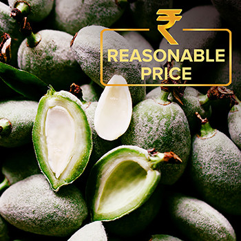 Buy fresho! Fresh Almonds Online at Best Price of Rs 244.66 - bigbasket