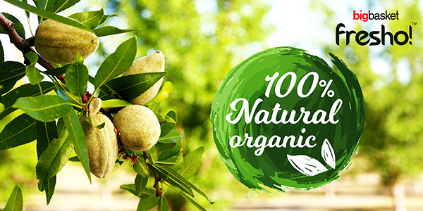 Buy fresho! Fresh Almonds Green Online at Best Price of Rs 259.6 ...