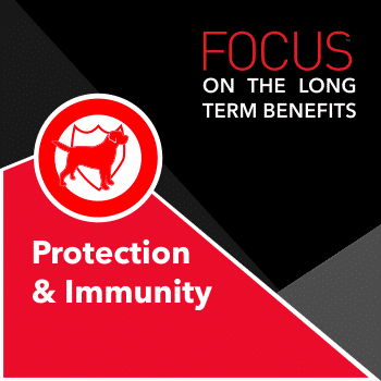 Buy Drools Focus Dog Food - Puppy, Super Premium All Breed Formula ...