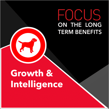 Buy Drools Dog Food - Super Premium, Focus, Puppy 4 kg Online at Best ...