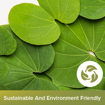 Buy bb home Earth Natural Disposable Plates - 28.5 cms, Siali Leaf ...