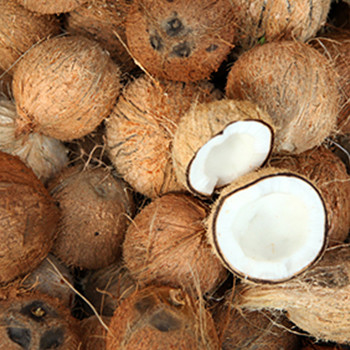 Buy Dorall Collection Damsel Essential For Women Online at Best Price ...