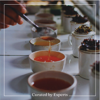 Buy Dorje First Flush Darjeeling Black Tea - With Intense Fruity ...