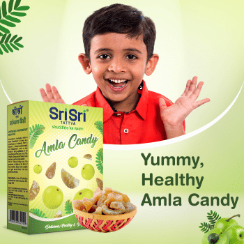 Buy Sri Sri Ayurveda Amla Candy - Delicious, Healthy And Digestive 400 ...