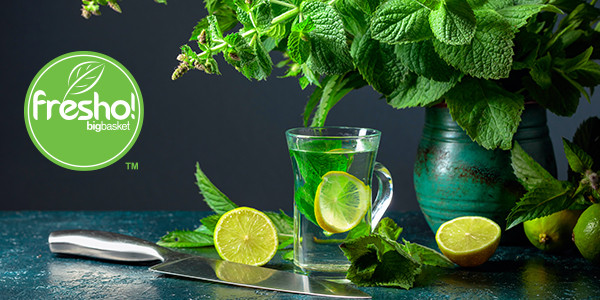 Buy Fresho Mint Organically Grown 100 Gm Online At Best Price of Rs 12. ...