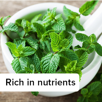 Buy Fresho Mint Organically Grown 100 Gm Online At Best Price of Rs 12. ...