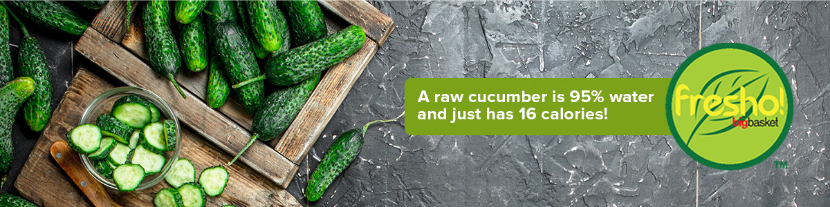 Buy Fresho Cucumber English 500 Gm Online At Best Price of Rs 27.36 ...