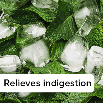 Buy Fresho Mint Organically Grown 100 Gm Online At Best Price of Rs 12. ...