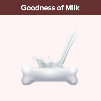 Buy Britannia Winkin' Cow Chocolicious Thick Milkshake Online at Best ...