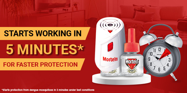Buy Mortein SmartPlus Mosquito Repellent Liquid Refill Online at Best ...