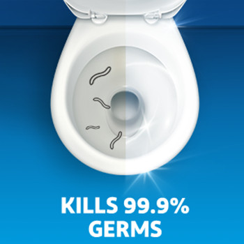 Buy Harpic Power Plus - Disinfectant Toilet Cleaner Liquid, Rose, 10x ...