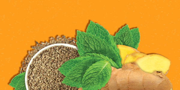 Buy Tata Tea Care Digest Herbal Infusion Green Tea - With Pudina ...