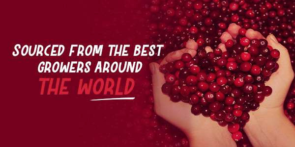 Buy Del Monte Premium Dried Cranberries 130 Gm Online At Best Price of ...