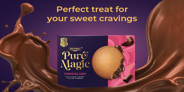 Buy Britannia Pure Magic Chocolush Choco Filled Biscuits 300 g Box ...