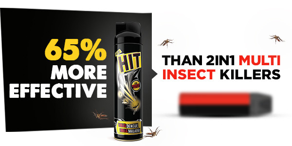 Buy Hit Flying Insect Killer Fik 320 Ml Online At Best Price of Rs null ...