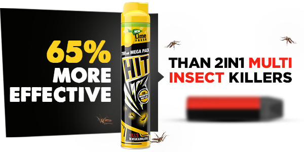 Buy Hit Spray Flying Insect Killer Lime 625 Ml Online At Best Price of ...