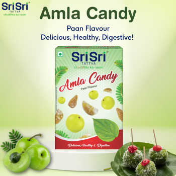 Buy Sri Sri Ayurveda Amla Candy - Paan Flavored (Delicious, Healthy And ...