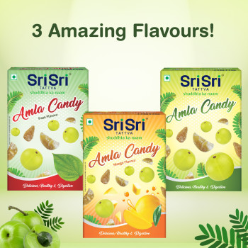 Buy Sri Sri Ayurveda Amla Candy Mango Flavored Delicious Healthy And ...