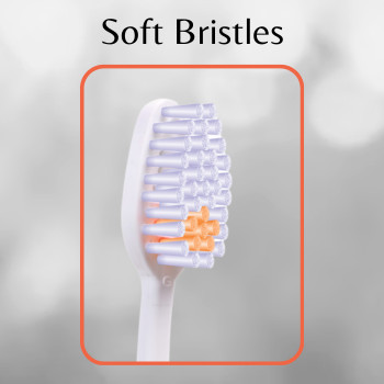 Buy MAXI Zebra Toothbrush - For Oral Hygiene & Fresh Breath, Soft ...