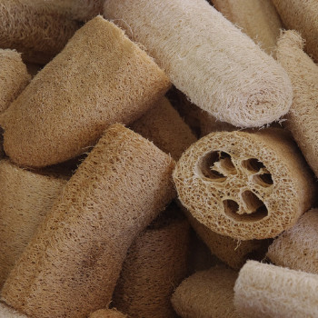 Buy The Earth Reserve Lotus Honey & Shredded Loofah Exfoliating Soap ...