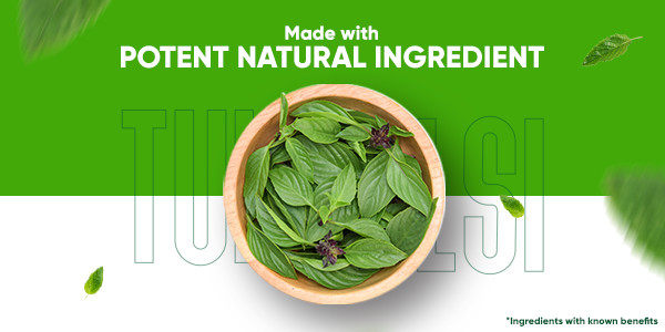 Buy Dabur Herb'l Tulsi Toothpaste - Anti-Bacterial, Non Flouride Online ...