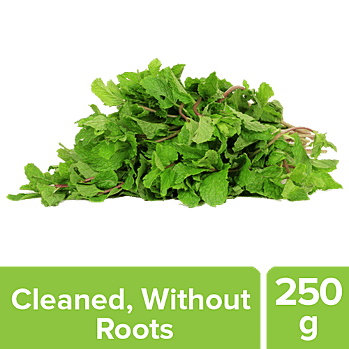 Buy Fresho Mint Leaves 250 Gm Online At Best Price of Rs 21.92 - bigbasket