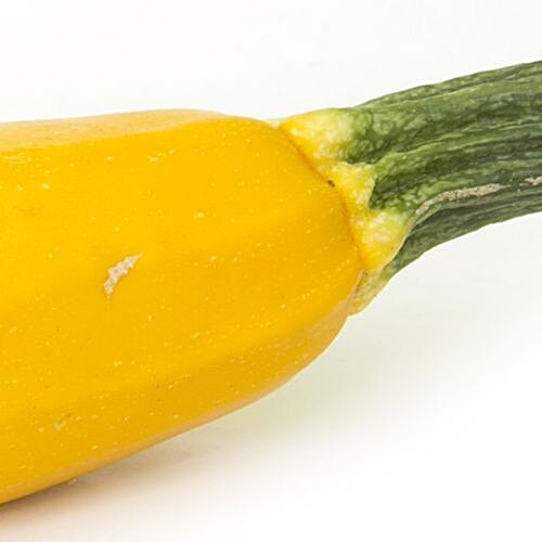Buy Fresho Zucchini Yellow 500 Gm Online At Best Price of Rs 58.95 ...
