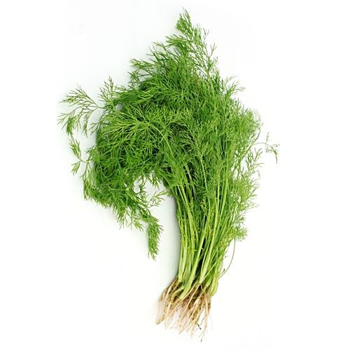 Buy Fresho Dill Leaves Online at Best Price - bigbasket
