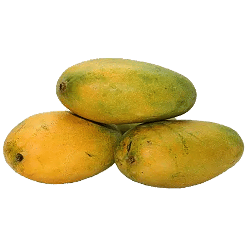 Buy Fresho Mango Neelam 1 Kg Online At Best Price of Rs 162 - bigbasket