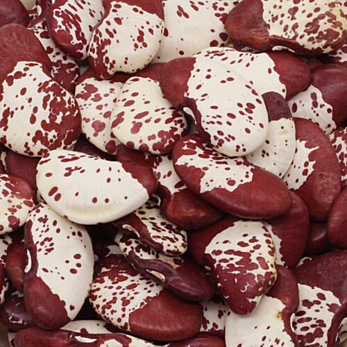 Buy Bb Royal Beans Double Red 200 Gm Pouch Online At Best Price of Rs ...